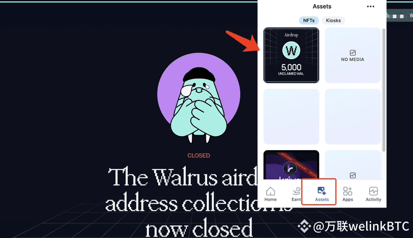 Walrus Airdrop is here Users who are eligible for Walrus Us | 万联 ...