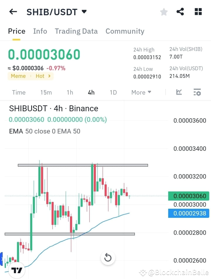 🚀 $SHIB /USDT POISED FOR A BREAKOUT? 🚀📈 The $SHIB /USDT | BlockchainBelle on Binance Square