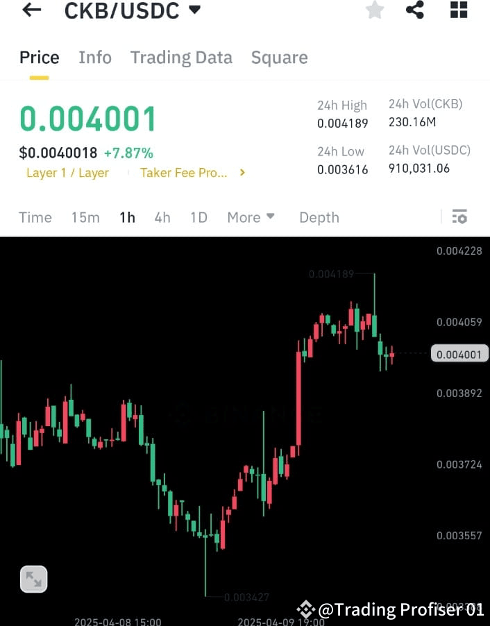 $CKB /USDC – Bullish Momentum Emerging on Layer 1! $CKB is | Trading Profiser 01 on Binance Square