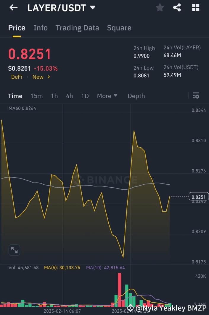 $LAYER /USDT trading pair. The current price is $0.8251, sh | Nyla ...