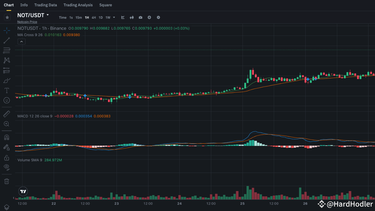 Notcoin (NOT) on the Rise: What’s Next for This Emerging Token ...