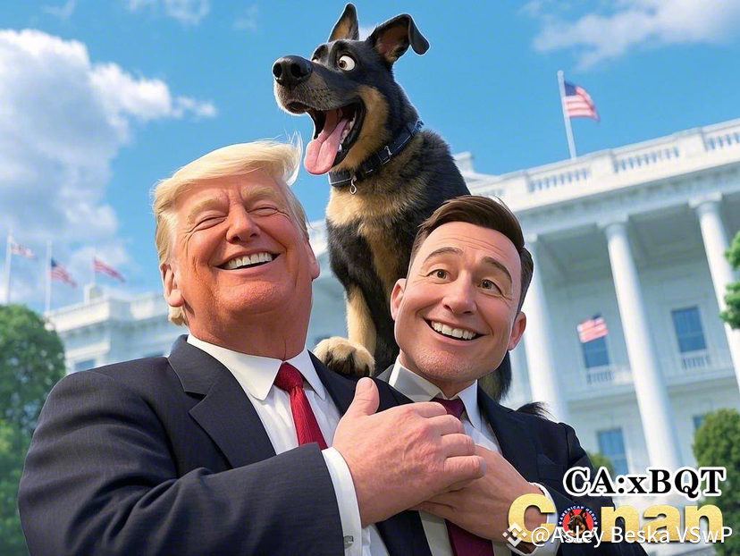 $TRUMP Did Trump release Dogecoin? If you missed Trump Coin | Asley ...