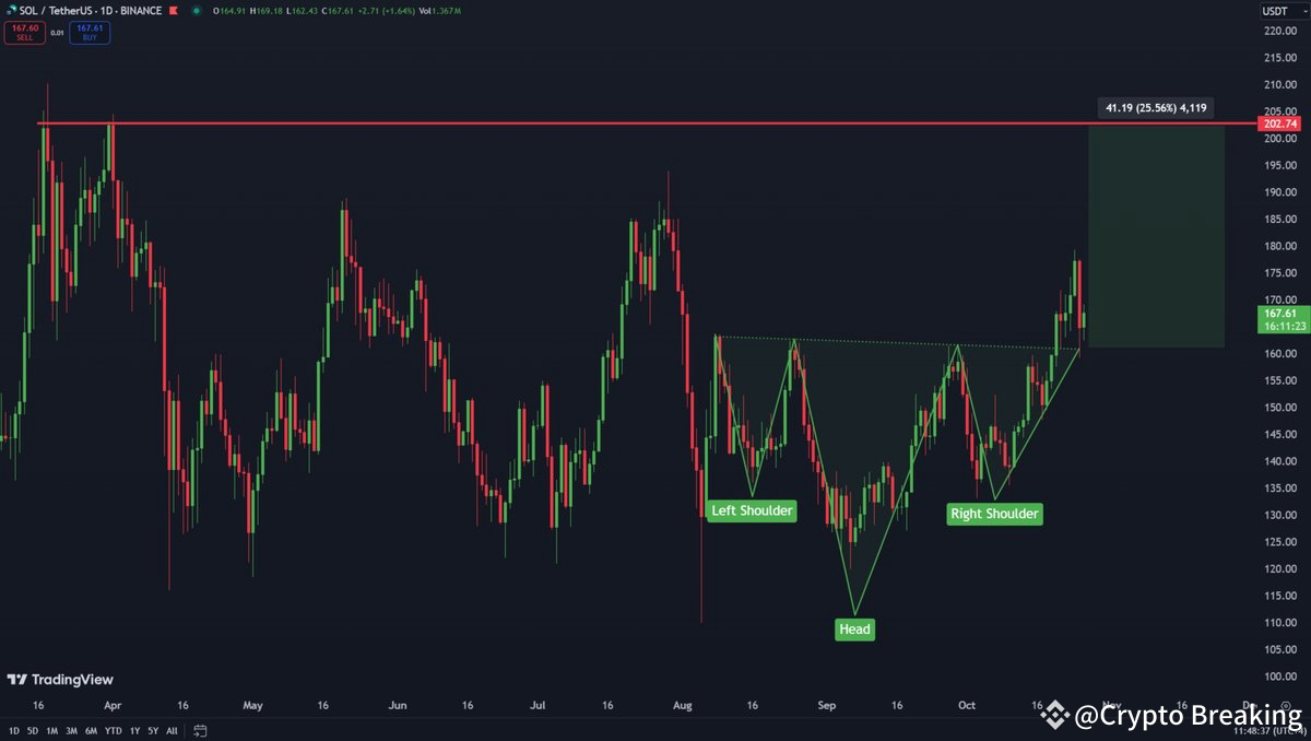 Solana Bullish Pattern Holds – Crypto Analyst Sets $202 Target | Crypto Breaking on Binance Square