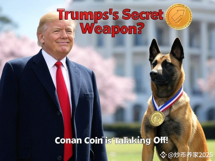 $RED $TRUMP $PNUT The market takes a slight breather, the a | 炒币养家2025 ...