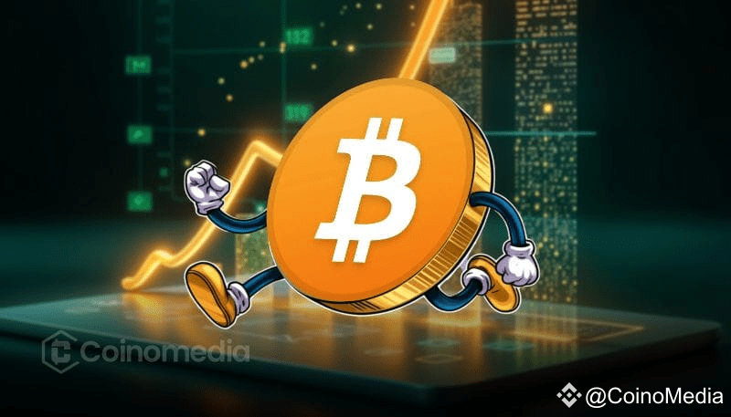 Bitcoin Whale Holdings Surge Past 100K BTC | CoinoMedia on Binance Square
