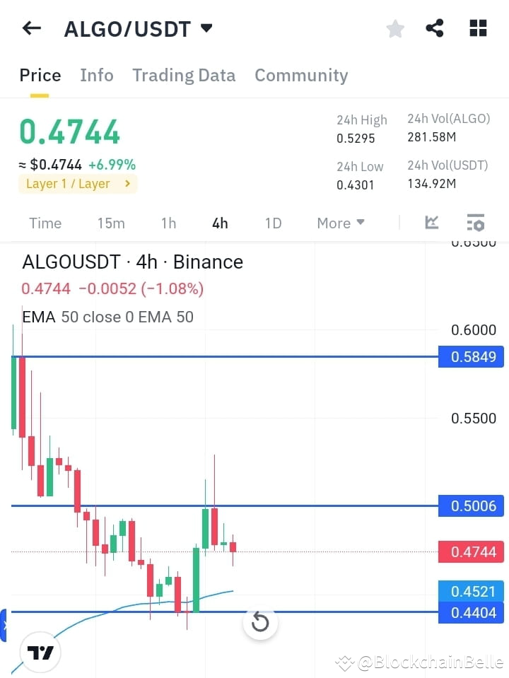 $ALGO /USDT: BULLISH MOMENTUM BUILDING UP! ENTER After BREAK | BlockchainBelle on Binance Square