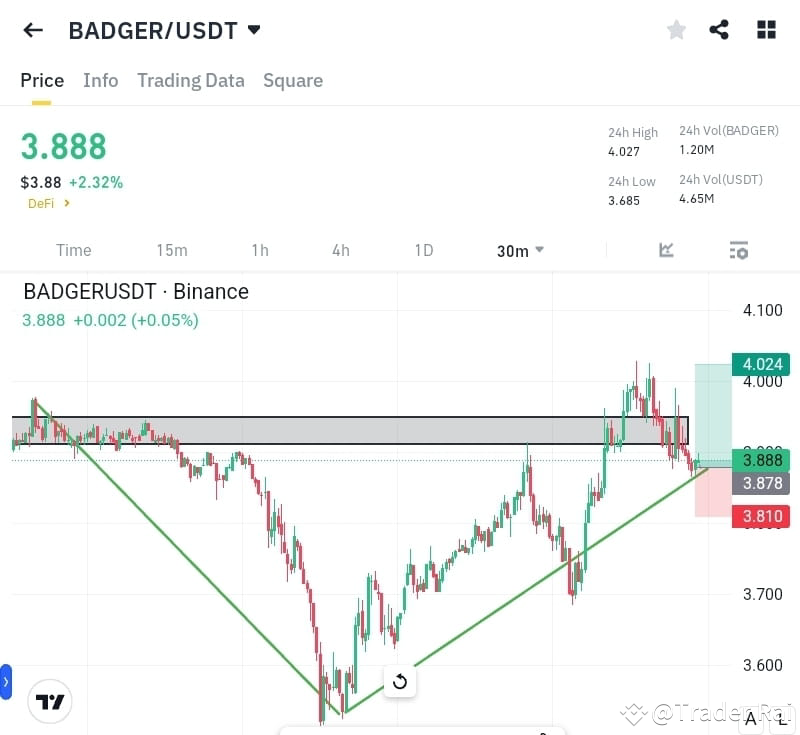 $BADGER /USDT Trading Update – Retesting Key Support! BAD | Trader Rai ...