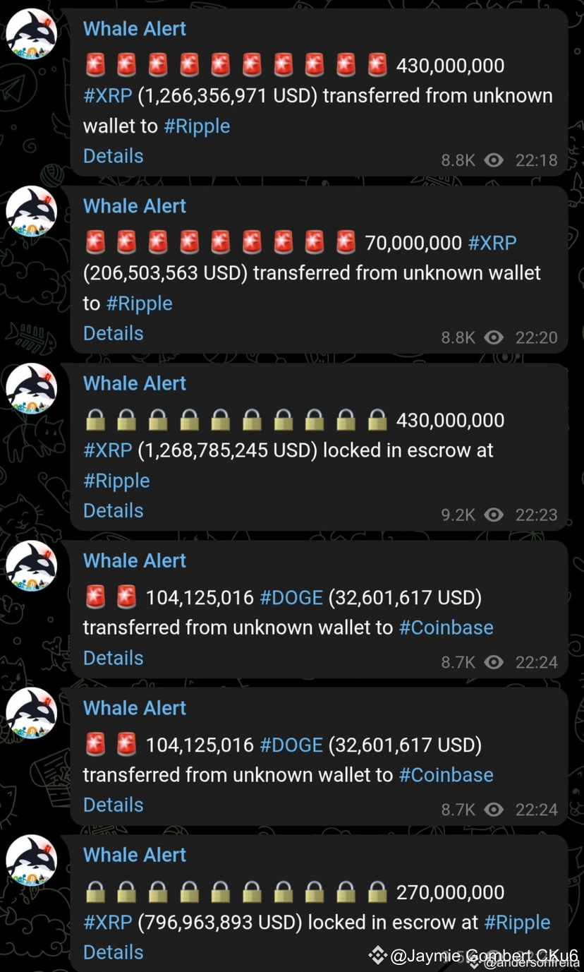 Whales continue to accumulate $XRP they know what’s coming.. | Jaymie Gombert CKu6 on Binance Square