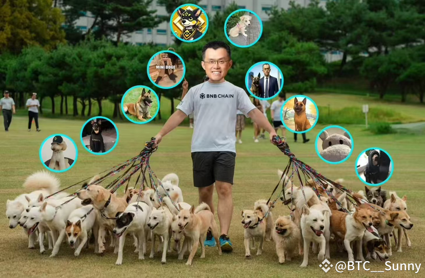 In the past few days, major KOLs, including retail investors | BTC ...