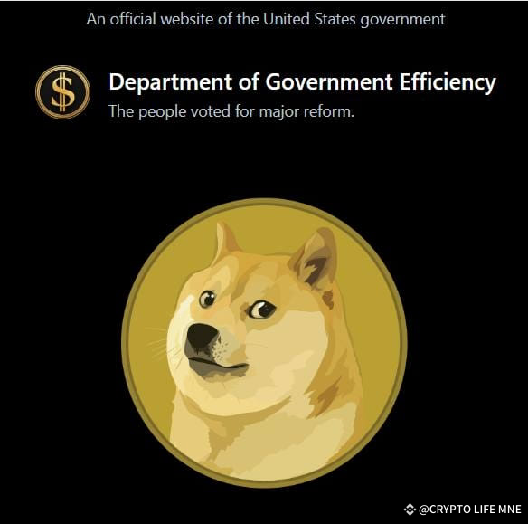 Official D.O.G.E. website is live featuring the $DOGE logo | CRYPTO ...