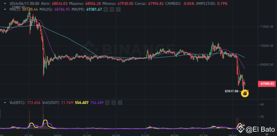 Bitcoin fell by 1.16% very quickly, causing people to panic | El Bato ...