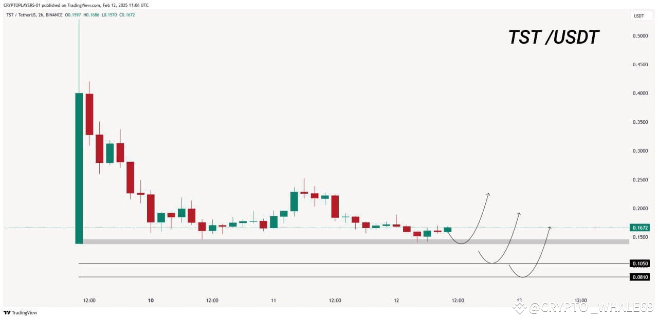 $TST Coin Update!! • After Listing on Binance $Tst Coin P | CRYPTO ...