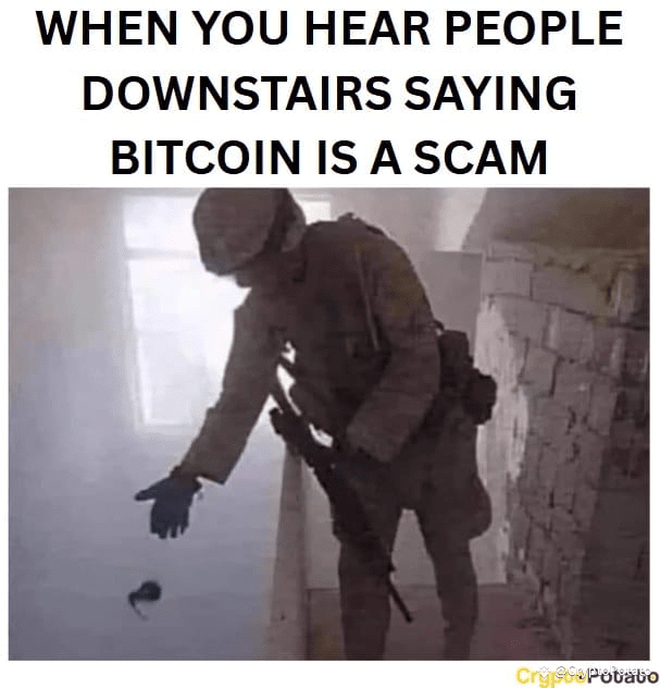 See ya! | CryptoPotato on Binance Square