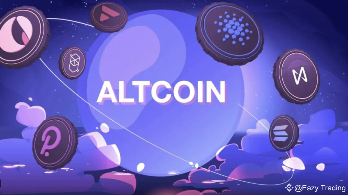 🚨Bitcoin Rises, Altcoins Drop: Opportunity or Risk?🚨 | Duong ...