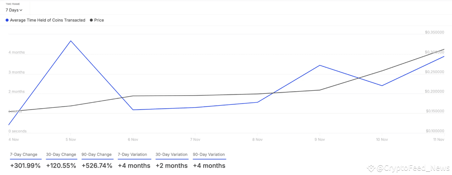🚀 #Dogecoin‬⁩ $DOGE Eyes Multi-Year High! #doge⚡ is sho | CryptoFeed ...