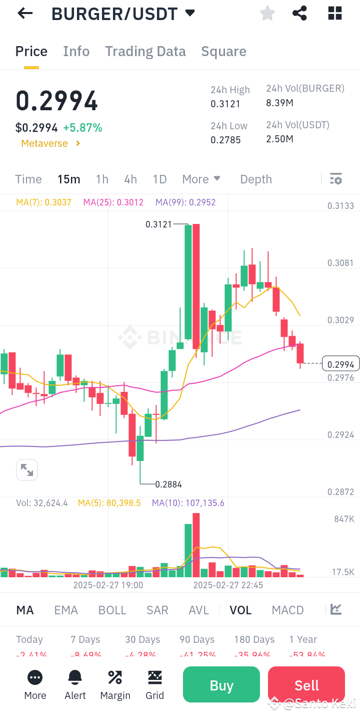 Unusual Buying Alert: $BURGER Spikes with 232K USDT in 8 Mi | Santo ...