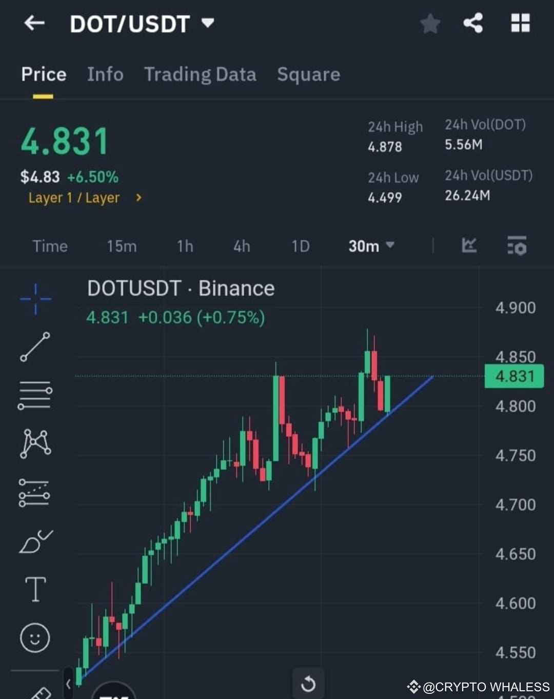 $DOT /USDT Bull Run Alert! 🔥🚀 📍 Current Price: $4.831 📊 | CRYPTO WHALESS on Binance Square
