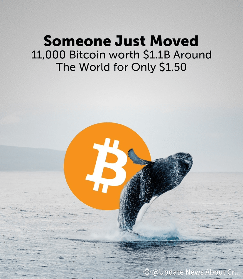 Bitcoin is going to the moon 🌕 #BTCNextATH? $BTC $BTC $BT | Ahmad ...