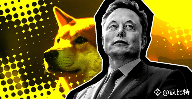 Dogecoin Plummeting Alert! Musk Abandons It, Big Fish Escape | 疯比特 on ...