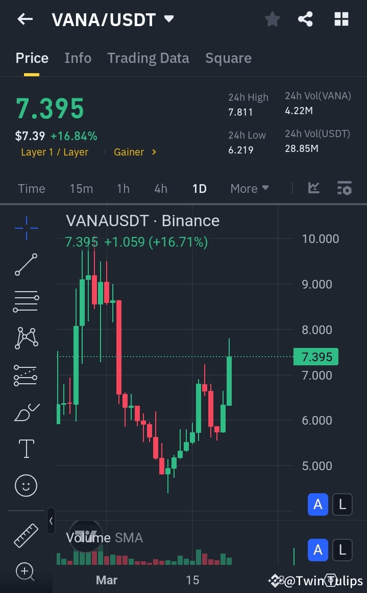 𝙑𝘼𝙉𝘼/𝙐𝙎𝘿𝙏 𝙎𝙝𝙤𝙬𝙞𝙣𝙜 𝙎𝙩𝙧𝙤𝙣𝙜 𝘽𝙪𝙡𝙡𝙞𝙨 | Twin Tulips on Binance Square