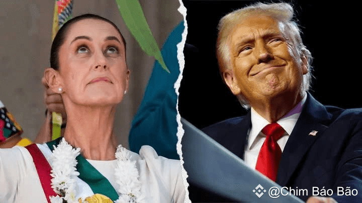 President Trump stated that Mexico will not have to pay tari | Chim Báo ...