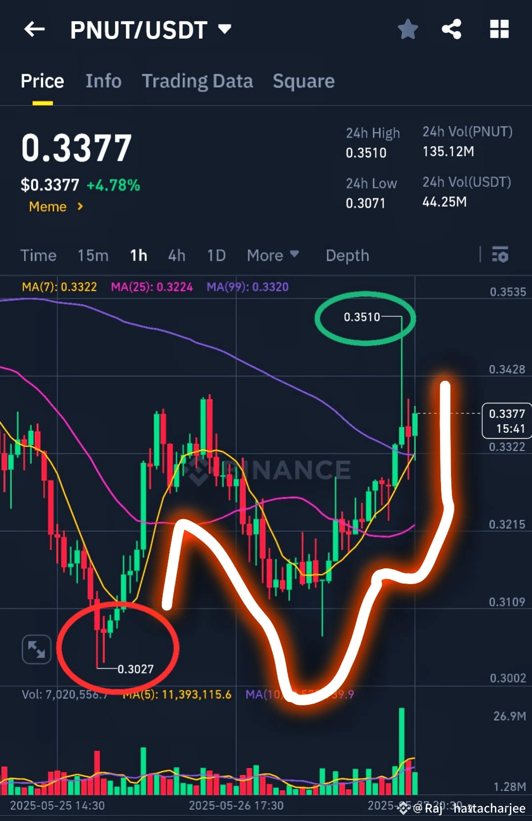 $PNUT From $0.3027 to $0.3510 — this chart just pulled a wil | Raj ...