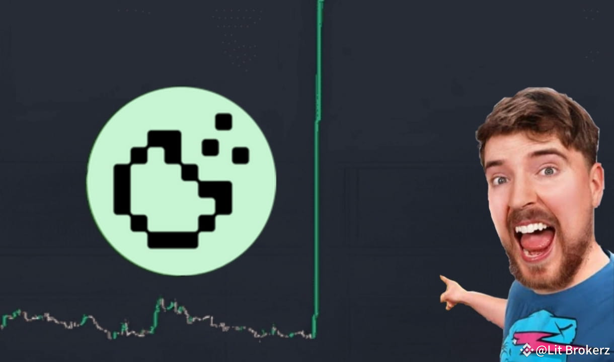 Can a $1,000 Investment in COOKIE Coin Make You Rich? 🍪🚀💸 | Lit Brokerz ...