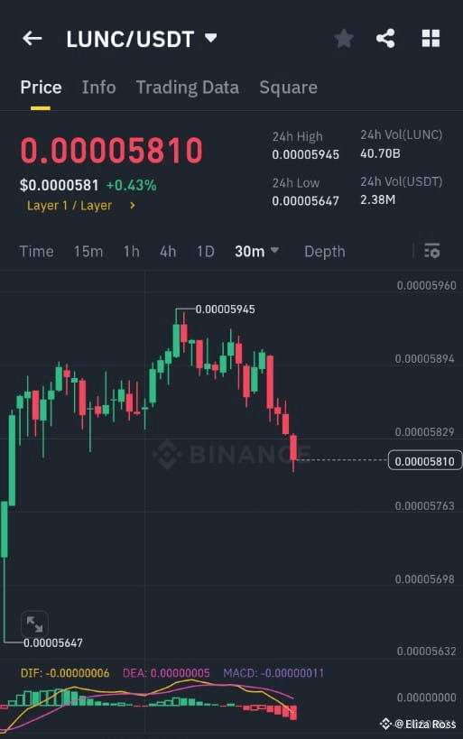 🚀 $LUNC /USDT – Steady as She Goes, Waiting for a Push! 🔥 | Eliza Ross on Binance Square