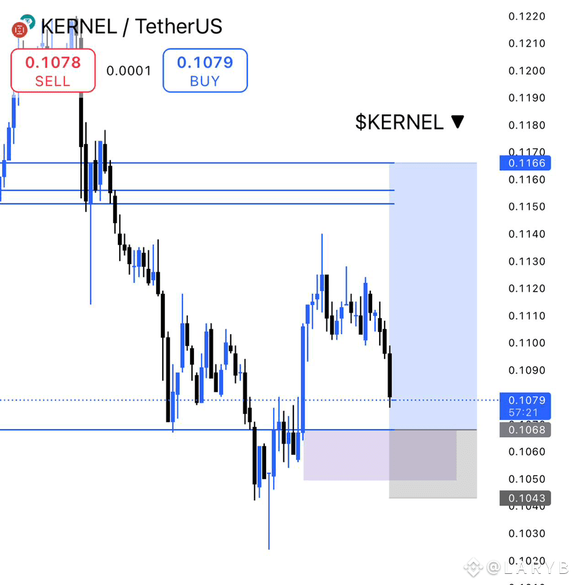 $KERNEL 🚀 | L A R Y B on Binance Square