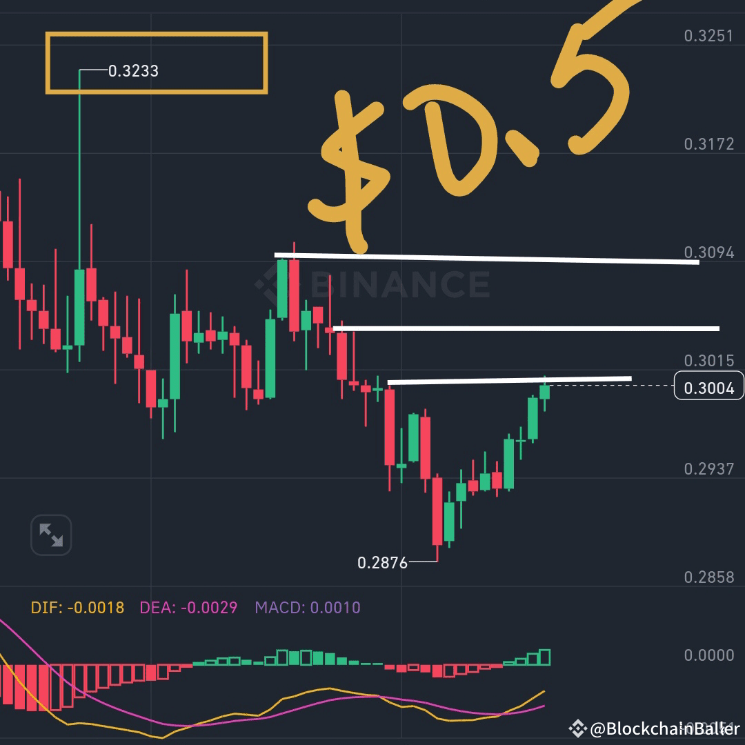 $SHELL Price Surge Can it Hit $0.5, $0.7, or Even $1 in Mar ...