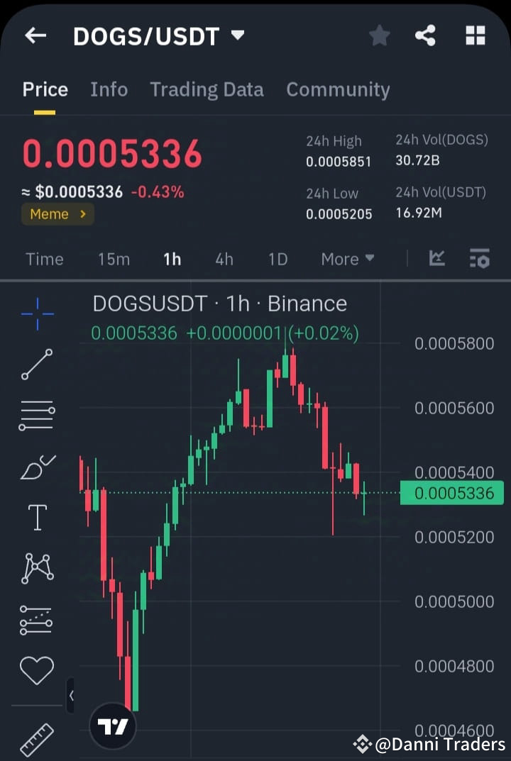 🚨 $DOGS /USDT Trading Signal Alert 🚨Current Price: $0.0005 | Danni Traders on Binance Square