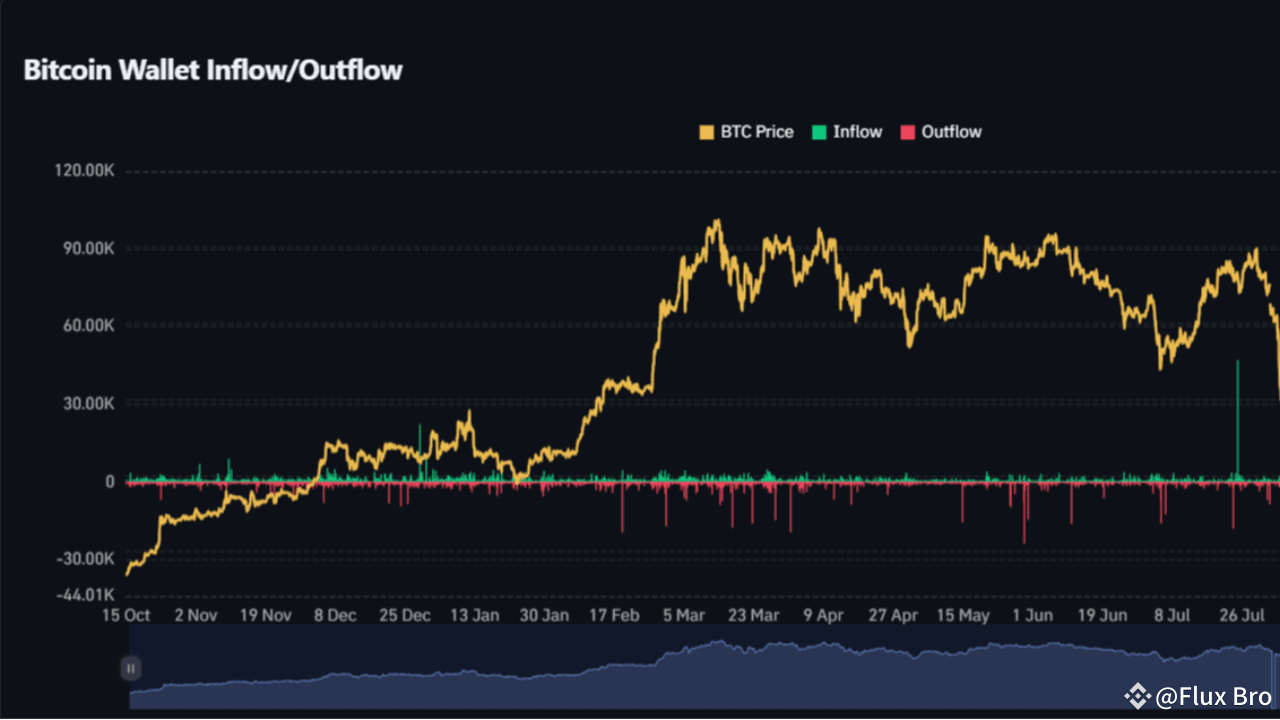 "Whales Are Moving! BTC & USDT Wallet Flows Hint at a Market Shake-Up—What’s Coming Next ...