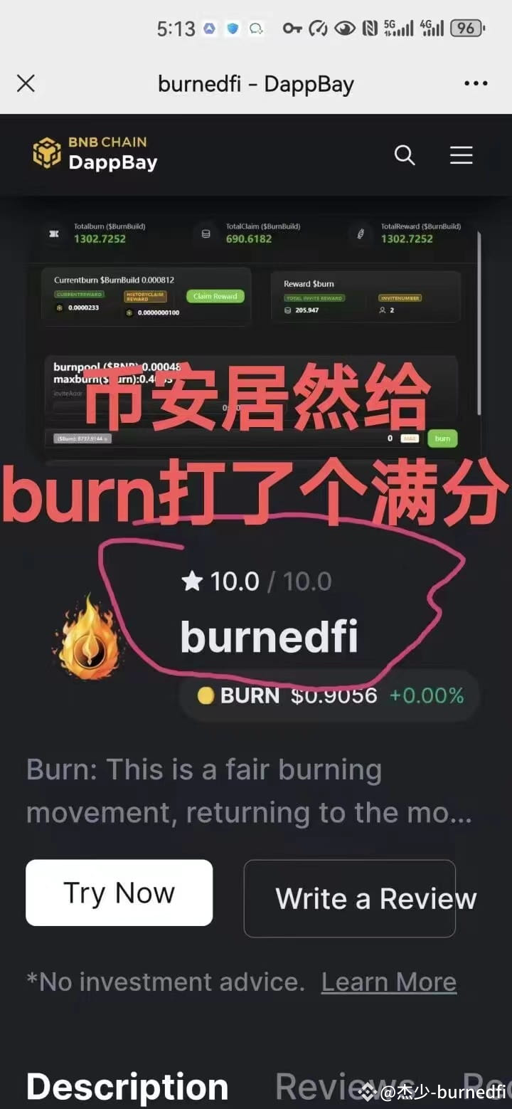 Unveiling the BSC Chain Super Gold Dog --- Rune Leader - BUR | 杰少 ...