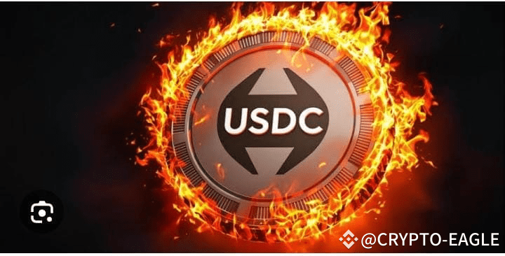 🚨 JUST IN: $USDC Treasury Burns Over 50 Million USDC Token | CRYPTO-EAGLE on Binance Square