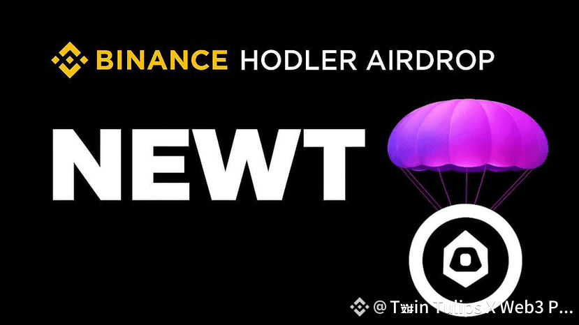 NEWT x Binance: The Web3 Infrastructure Token You Need to Know About 🔥 | Twin Tulips X Web3 ...