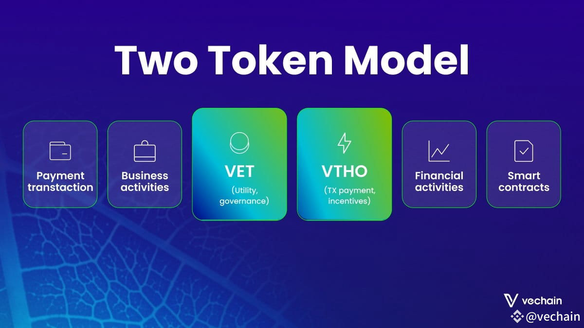 VeChain's innovative dual-token model—$VET and $VTHO—offers | vechain ...