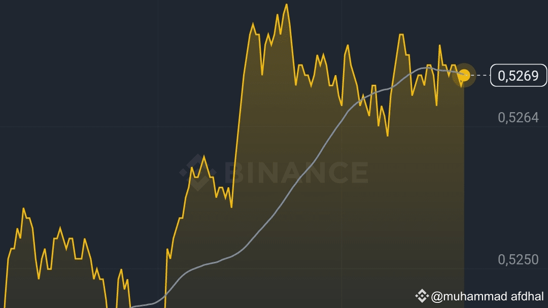 XRP Price Hits $154 | muhammad afdhal on Binance Square