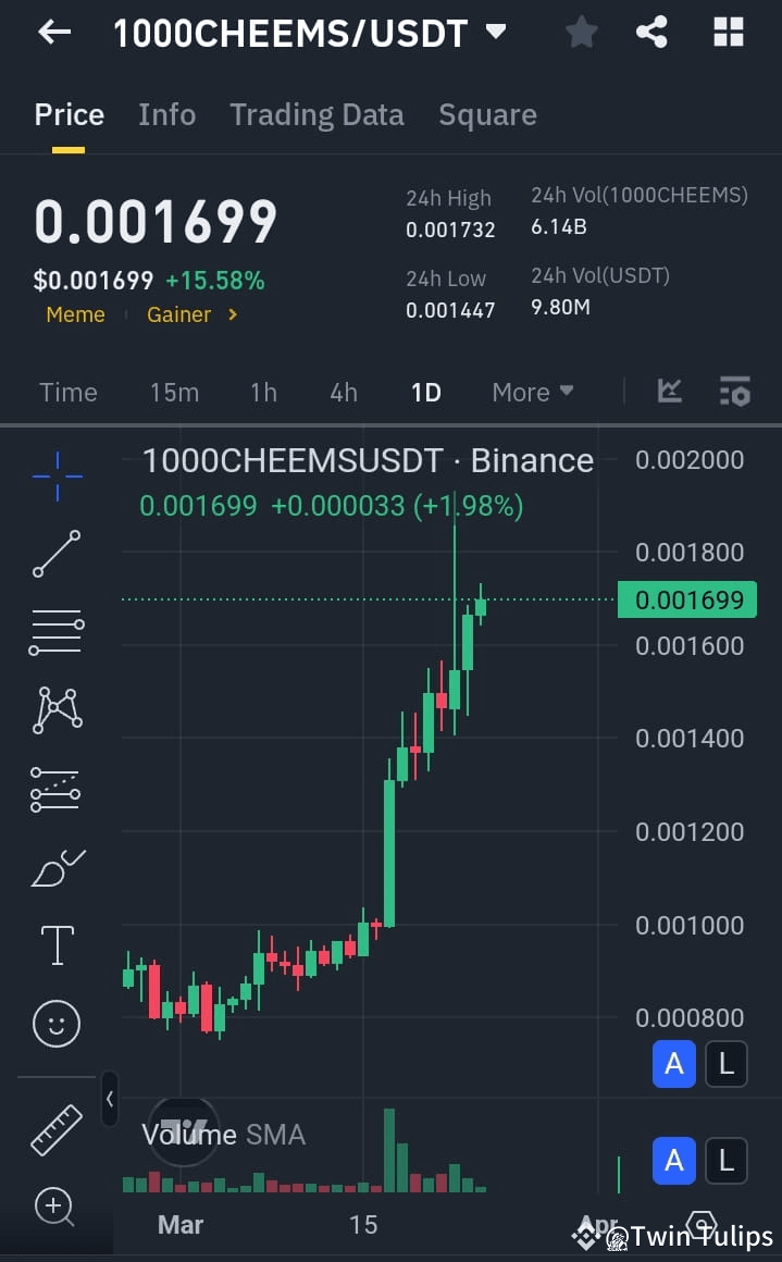 🚀 1000𝘾𝙃𝙀𝙀𝙈𝙎/𝙐𝙎𝘿𝙏 𝙎𝙠𝙮𝙧𝙤𝙘𝙠𝙚𝙩𝙞𝙣𝙜 – 𝙈𝙖 | Twin Tulips on Binance Square