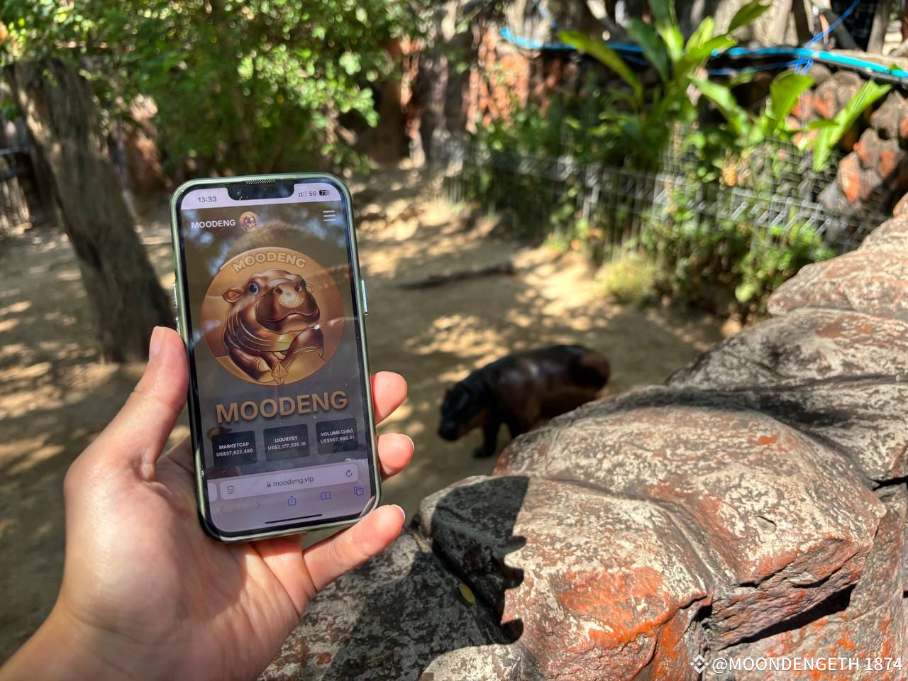 #moodeng on ETH #moodengeth If you have studied shib carefu ...