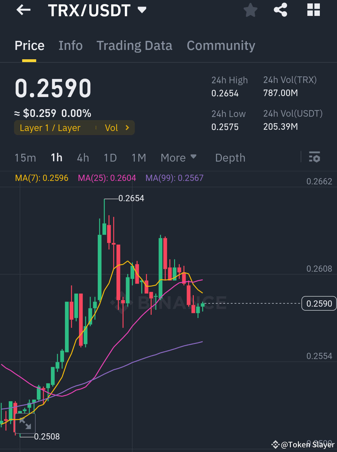 $TRX /USDT Trading Signal - Consolidation Phase? Entry Sugg | Token Slayer on Binance Square