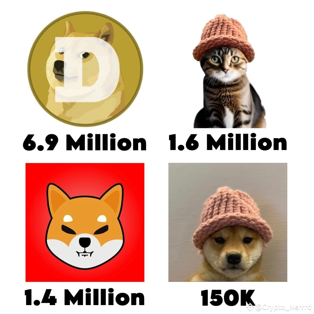 🚨**ATTENTION – KEEP AN EYE ON CATWIFHAT!**🚨 CatWifhat ($C | Crypto ...