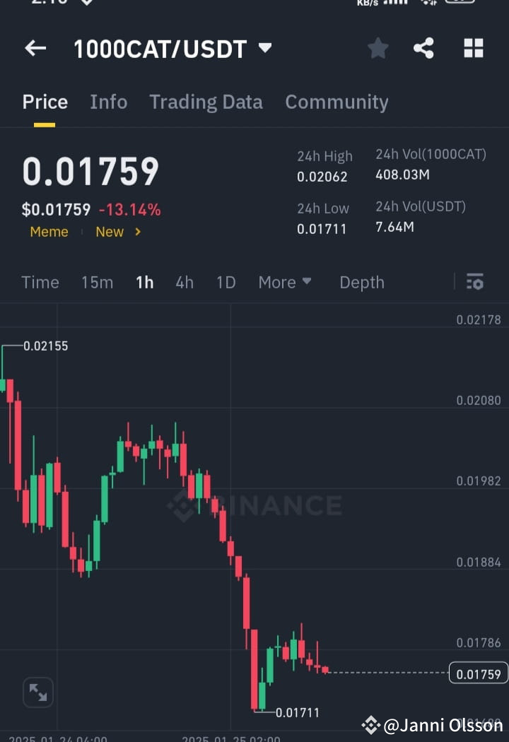 🐾$1000CAT 1000CAT/USDT Price Analysis – Meme Coin Moves 🐾 | Janni Olsson on Binance Square