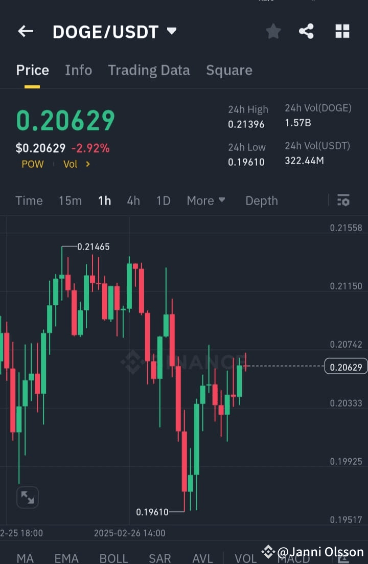 🚨$DOGE DOGE/USDT – Dip or Buying Opportunity? 🔥 Dogeco | Janni Olsson on Binance Square