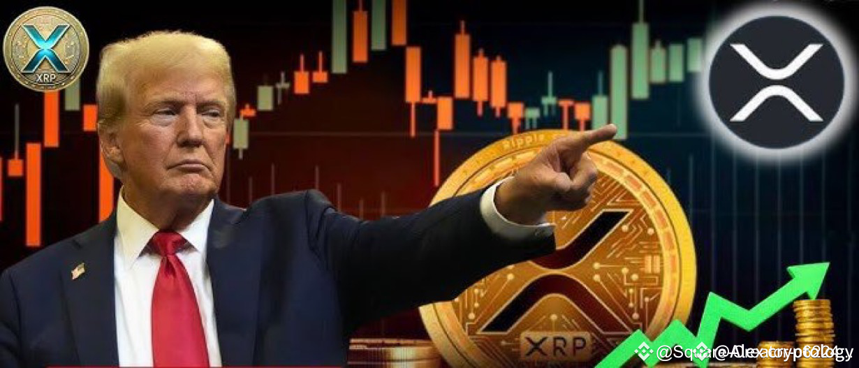 🔥🚀RUMORS: The United States of America is considering #XRP | Alex ...