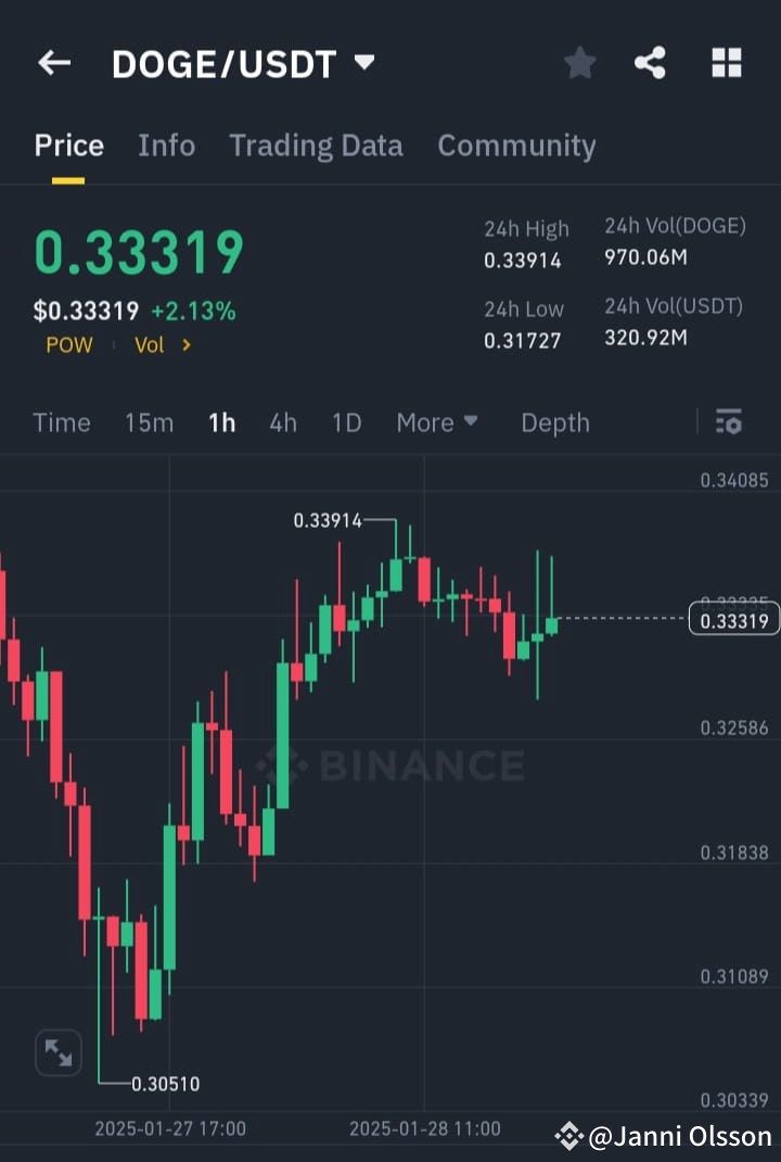 $DOGE /USDT – Bulls Holding Steady, Breakout Soon? 🚀 Dog | Janni Olsson on Binance Square