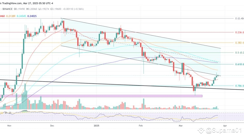 DOGE Alert! 🐶 On-Chain Data Reveals Key Battle Zones! ⚔️ Will We See a ...
