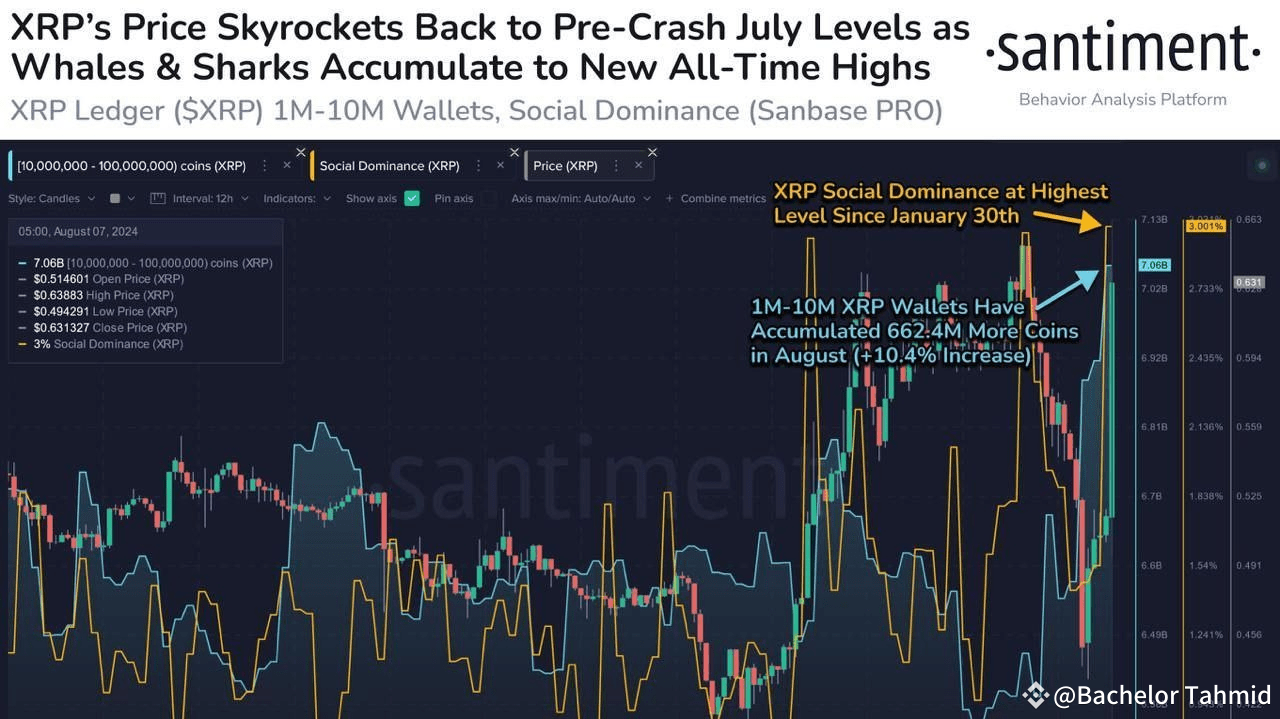 Santiment : Whales Own Record 7,060,000,000 XRP ($4.42B) | Bachelor Tahmid on Binance Square
