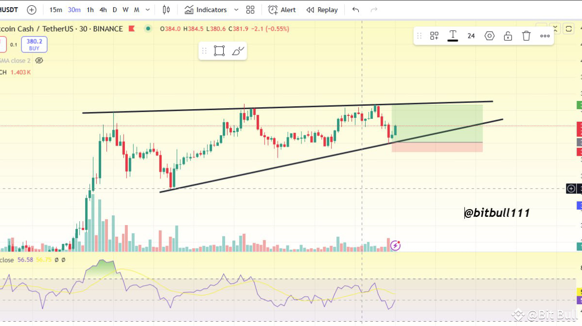 BCH signal update | Bit Bull on Binance Square