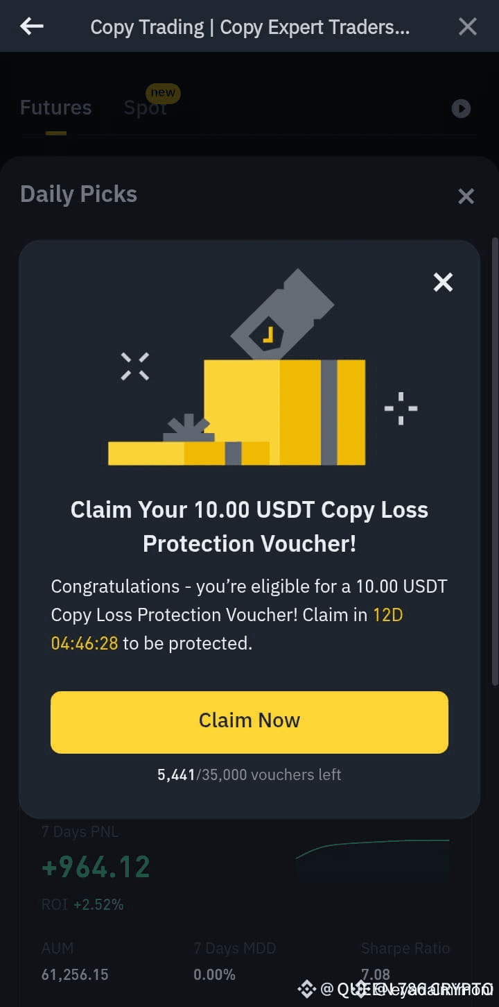 🛡️ Lock in Your Trades with a 10 USDT Safety Net! ⏳ Only 12 | Crypto activist on Binance Square