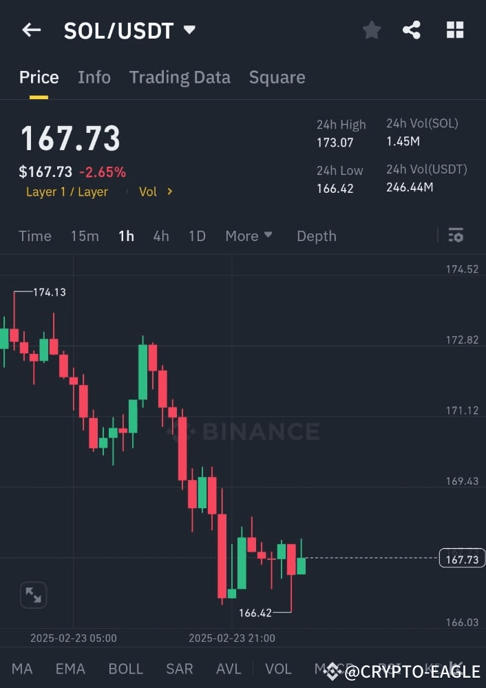 📉 $SOL /USDT Pullback — Is $170 the Key Level? 🟢 Next Big | CRYPTO-EAGLE on Binance Square